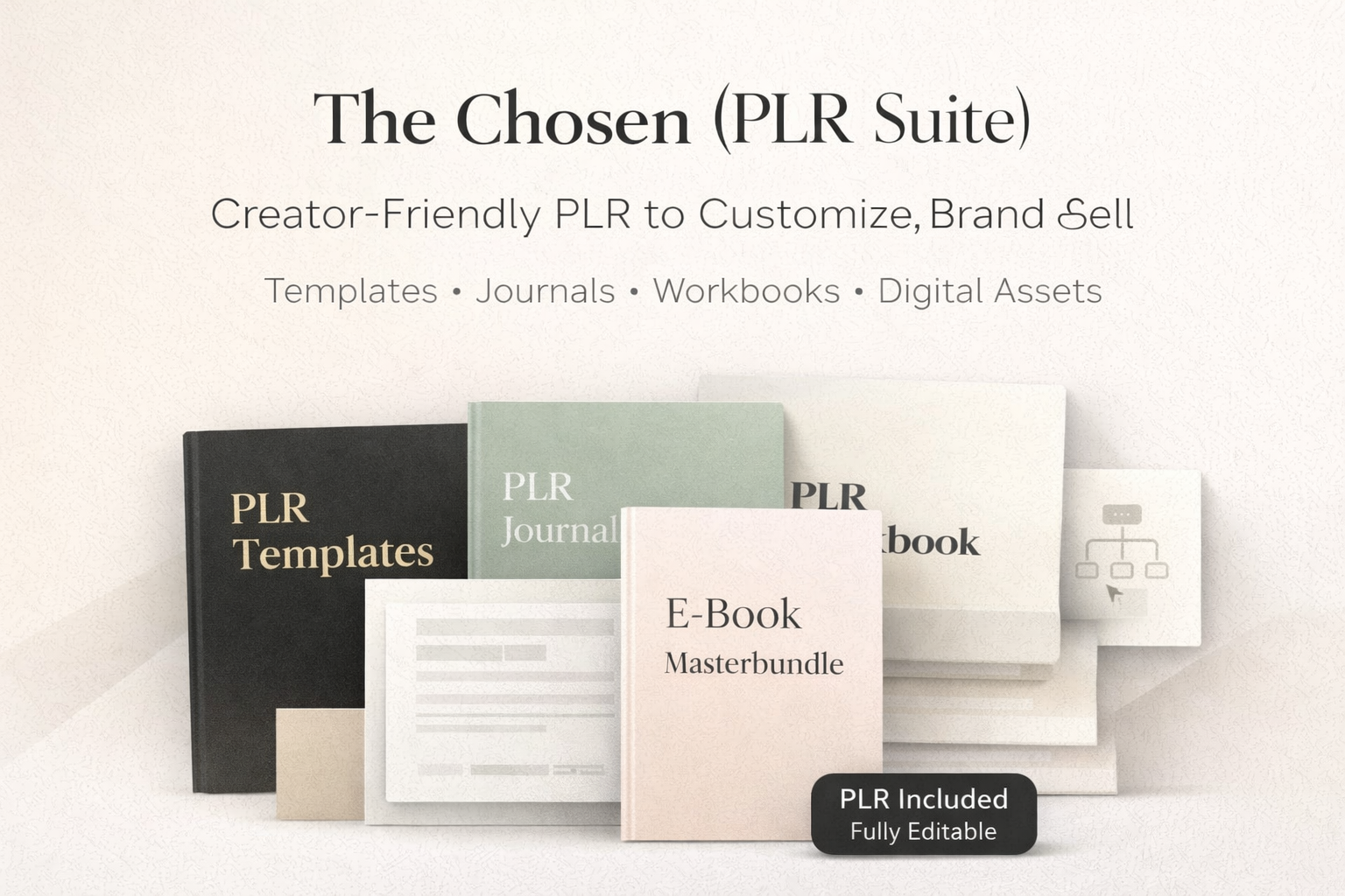 PLR Starter Kits for Beginners | Editable Digital Products – Chosen ...